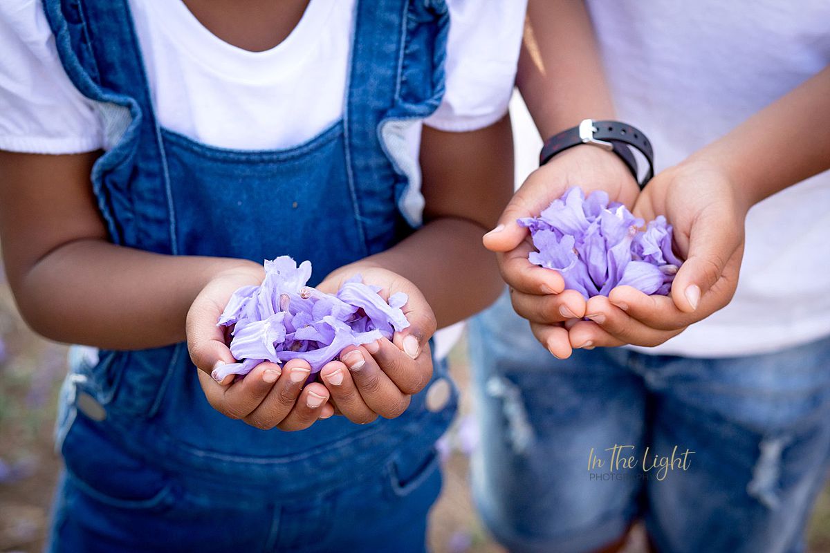Jacaranda Photo Sessions in Pretoria